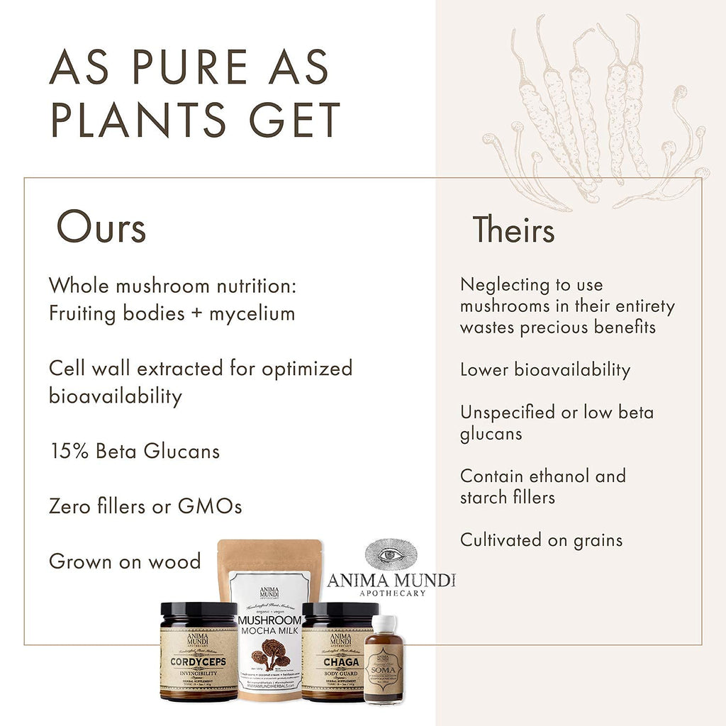 Anima Mundi chaga for wellness