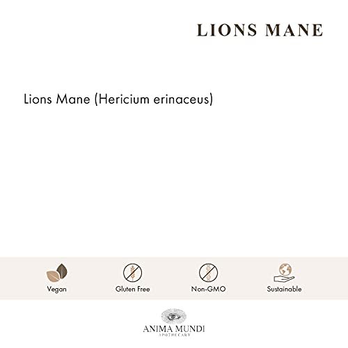 Anima Mundi lion's mane benefits