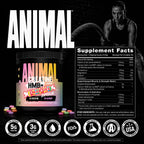 Animal creatine for pre-workout energy
