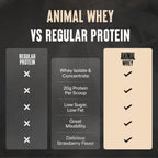 Animal whey protein for recovery support