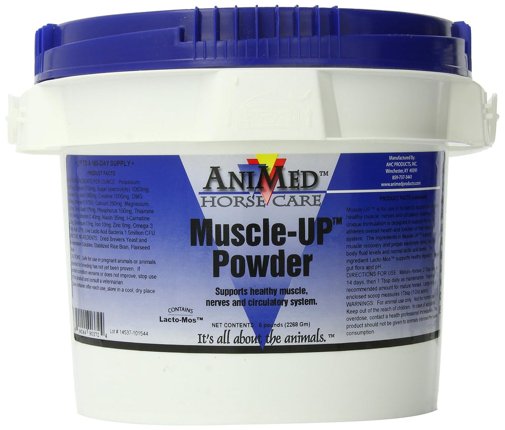 ANIMED MuscleUp whey protein supplement