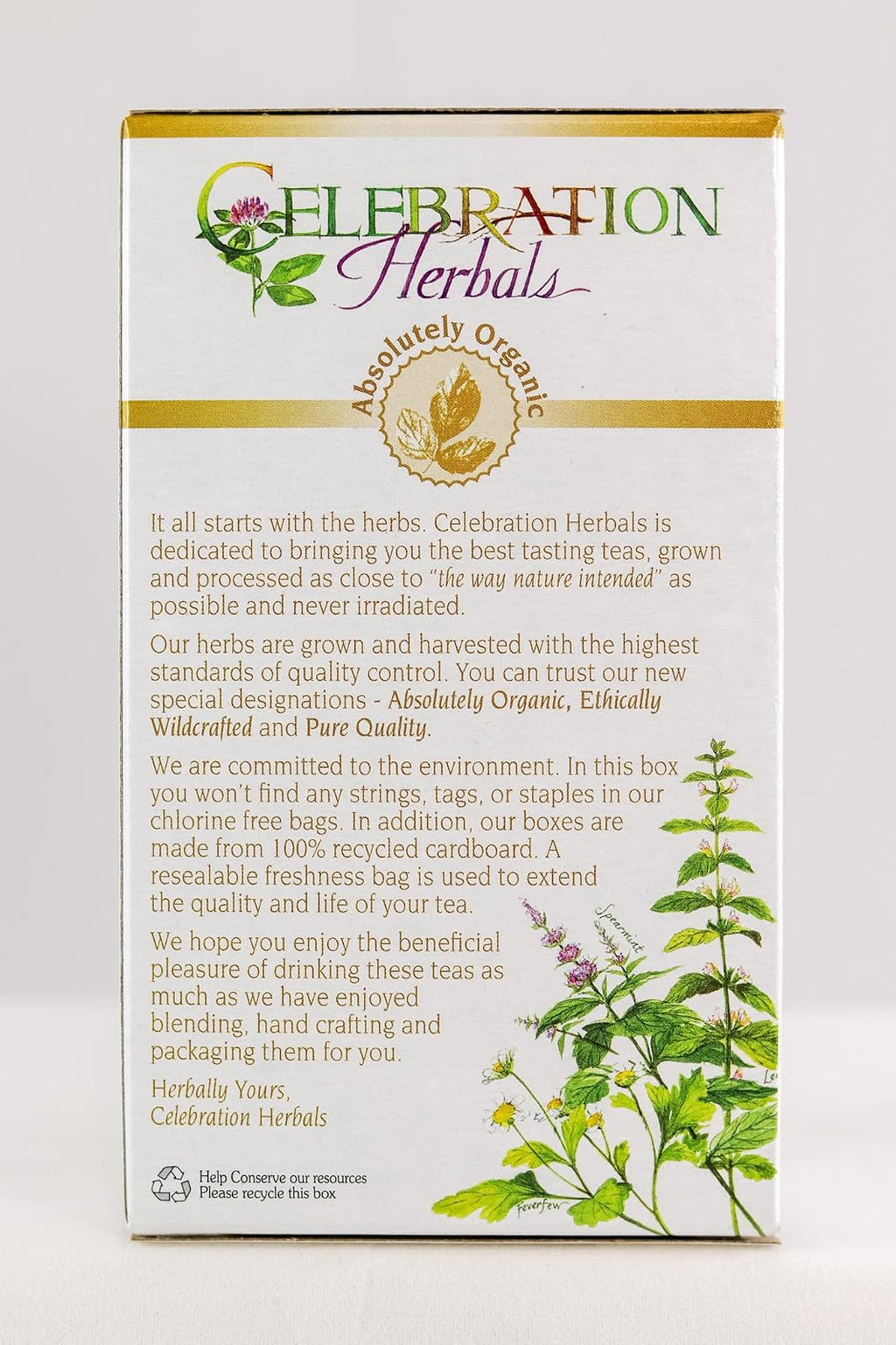 anise seed tea for detox