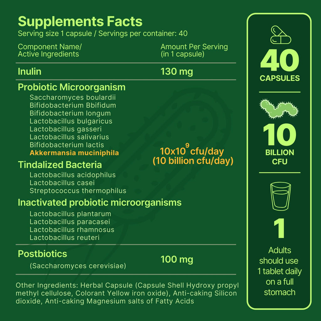 anocin probiotics for improved digestion