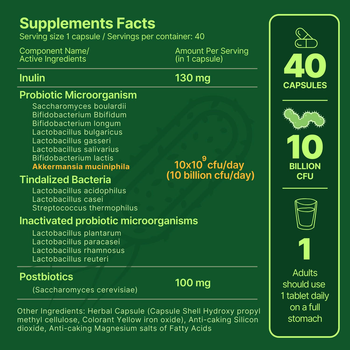 anocin probiotics for improved digestion