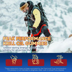 Antarctic krill oil for brain function