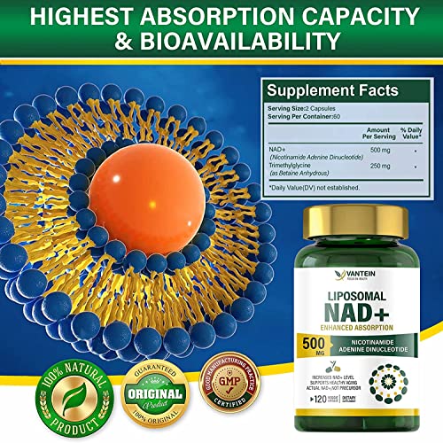 anti-aging antioxidant supplement