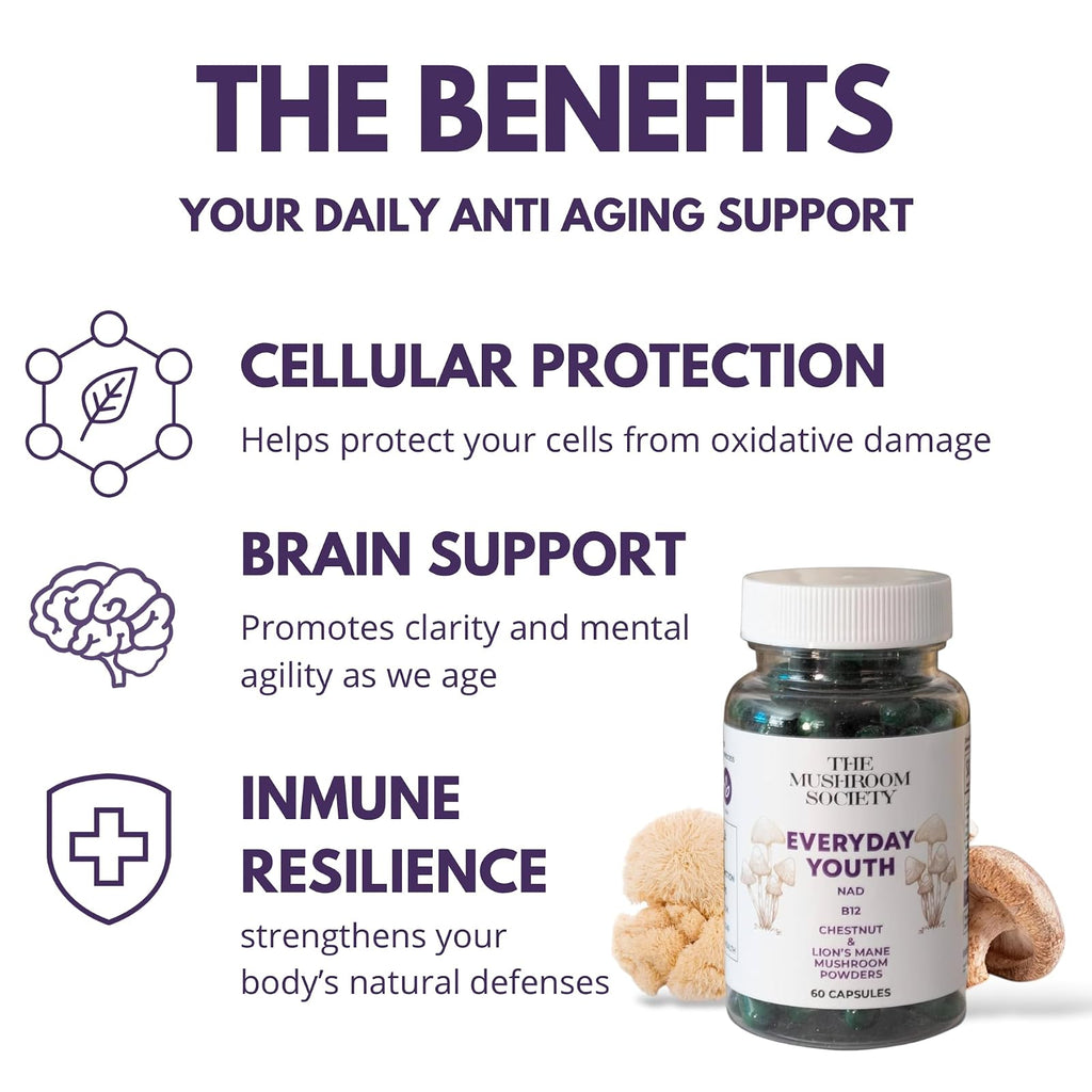 anti-aging benefits of Lion's Mane