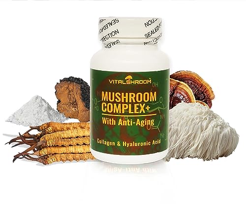 anti-aging benefits of mushrooms