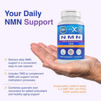anti-aging benefits of NMN capsules