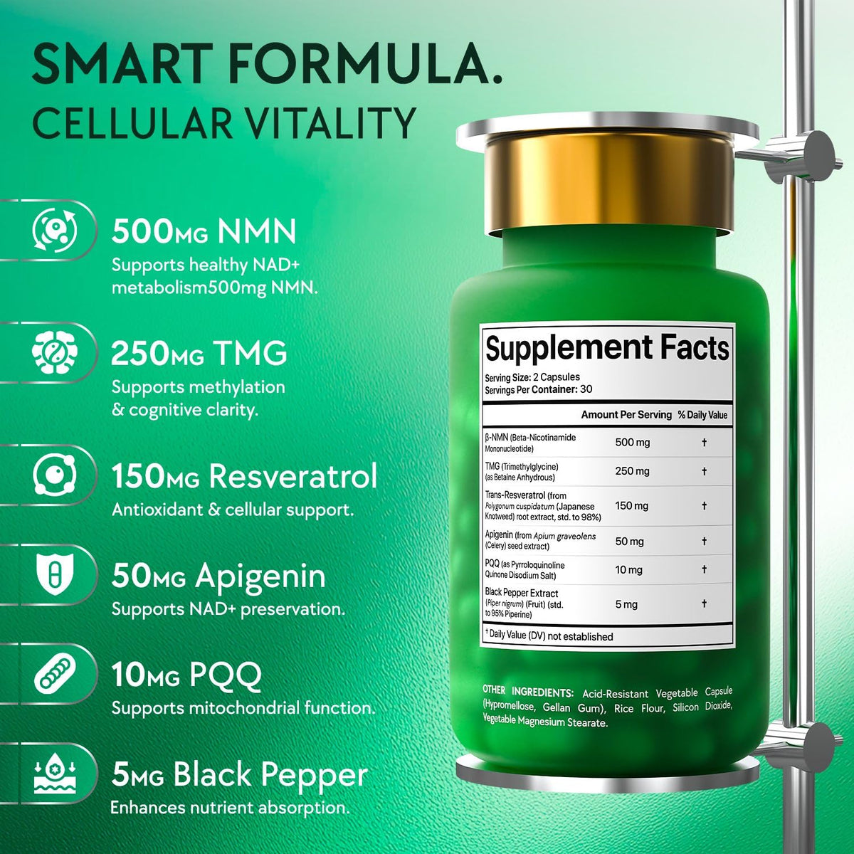 anti-aging benefits of NMN