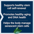 anti-aging benefits of resveratrol