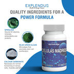 anti-aging benefits of stem cells