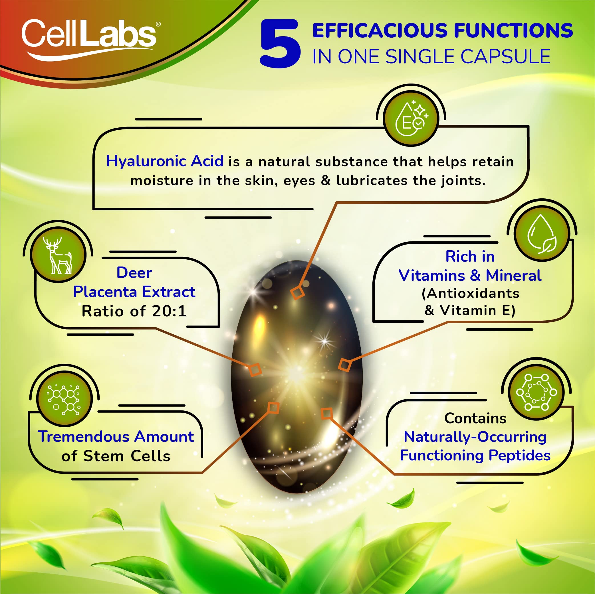 Anti-aging properties of deer placenta