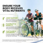 anti-inflammatory turmeric joint support