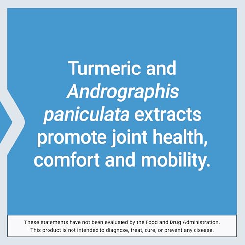 anti-inflammatory turmeric supplement