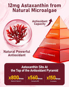 Antioxidant benefits of Astaxanthin