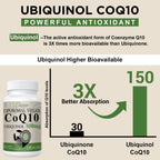 antioxidant benefits of coq10 ubiquinol