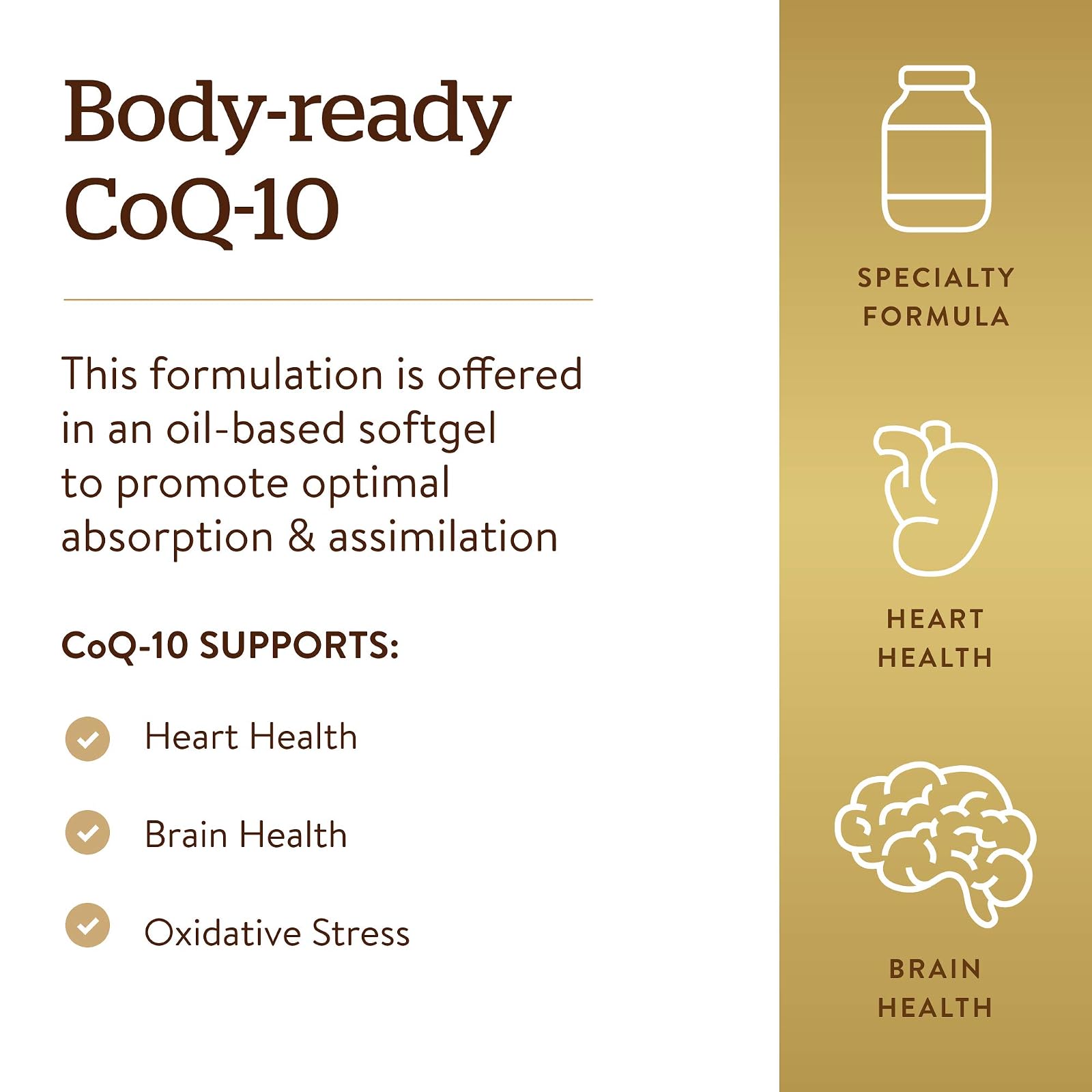 antioxidant benefits of coq10
