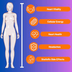 antioxidant benefits of coq10