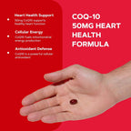 antioxidant benefits of CoQ10