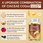 antioxidant benefits of CoQ10
