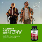 antioxidant benefits of coq10