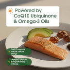 antioxidant benefits of CoQ10