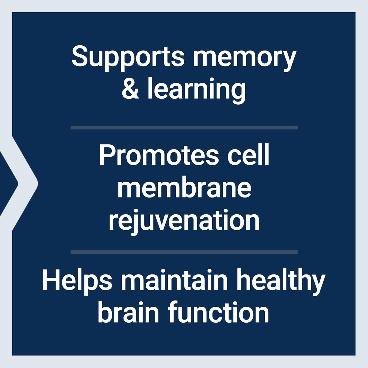 Antioxidant benefits of DMAE Bitartrate