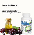 antioxidant benefits of grape seed extract