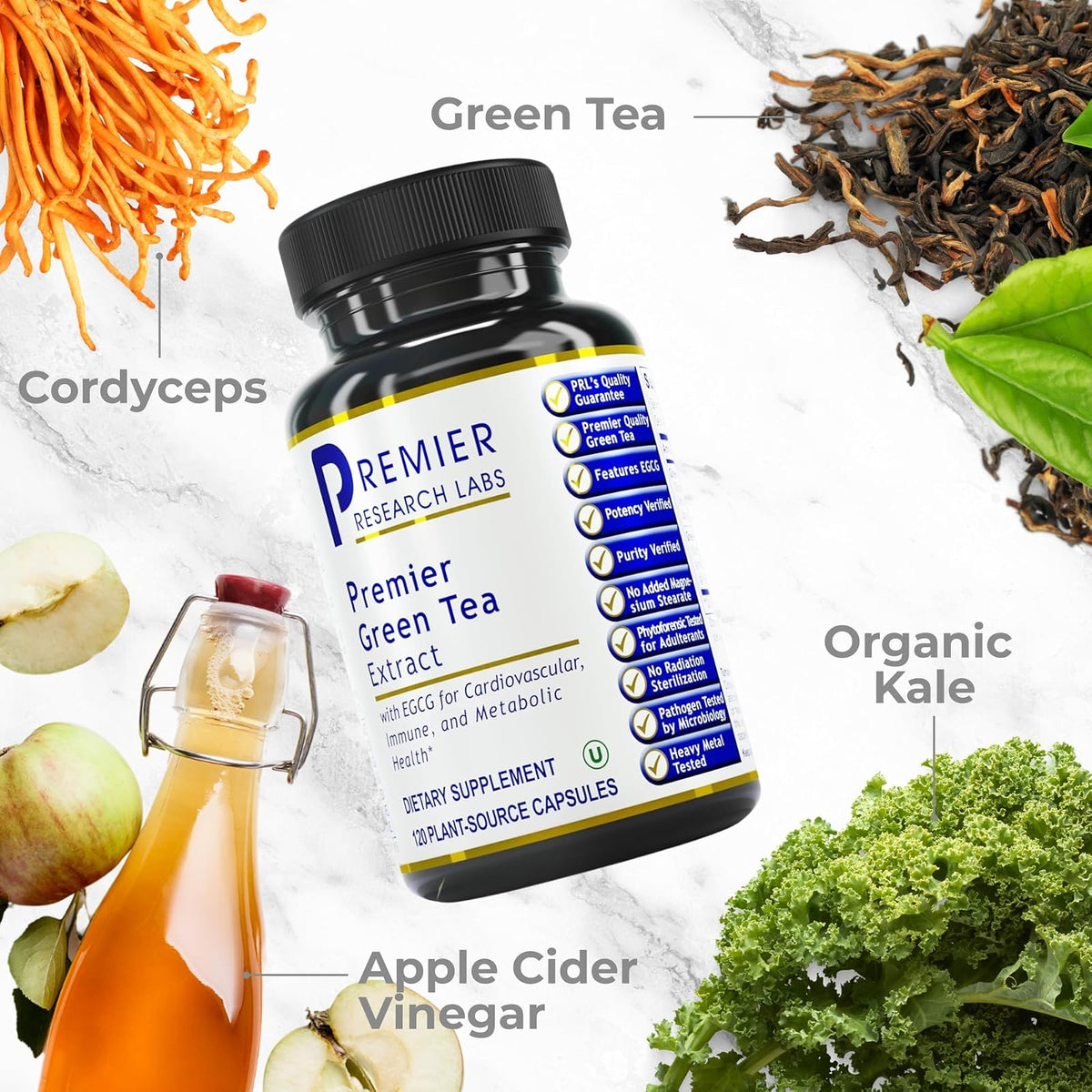 antioxidant benefits of green tea extract