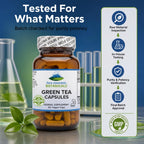 antioxidant benefits of green tea extract