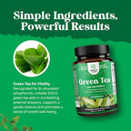 antioxidant benefits of green tea extract