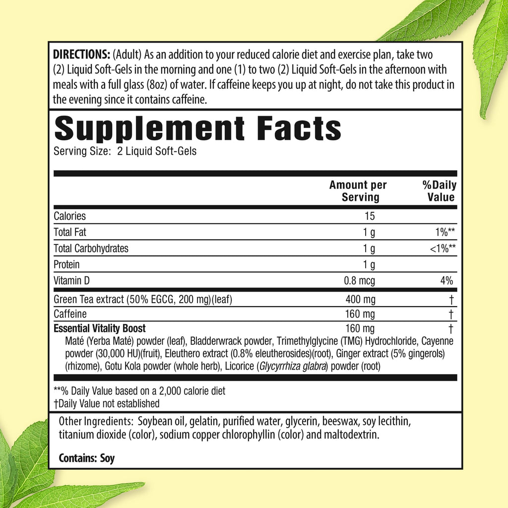 antioxidant benefits of green tea