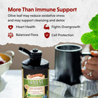 antioxidant benefits of olive leaf