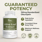 antioxidant benefits of olive leaf