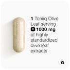antioxidant benefits of olive leaf
