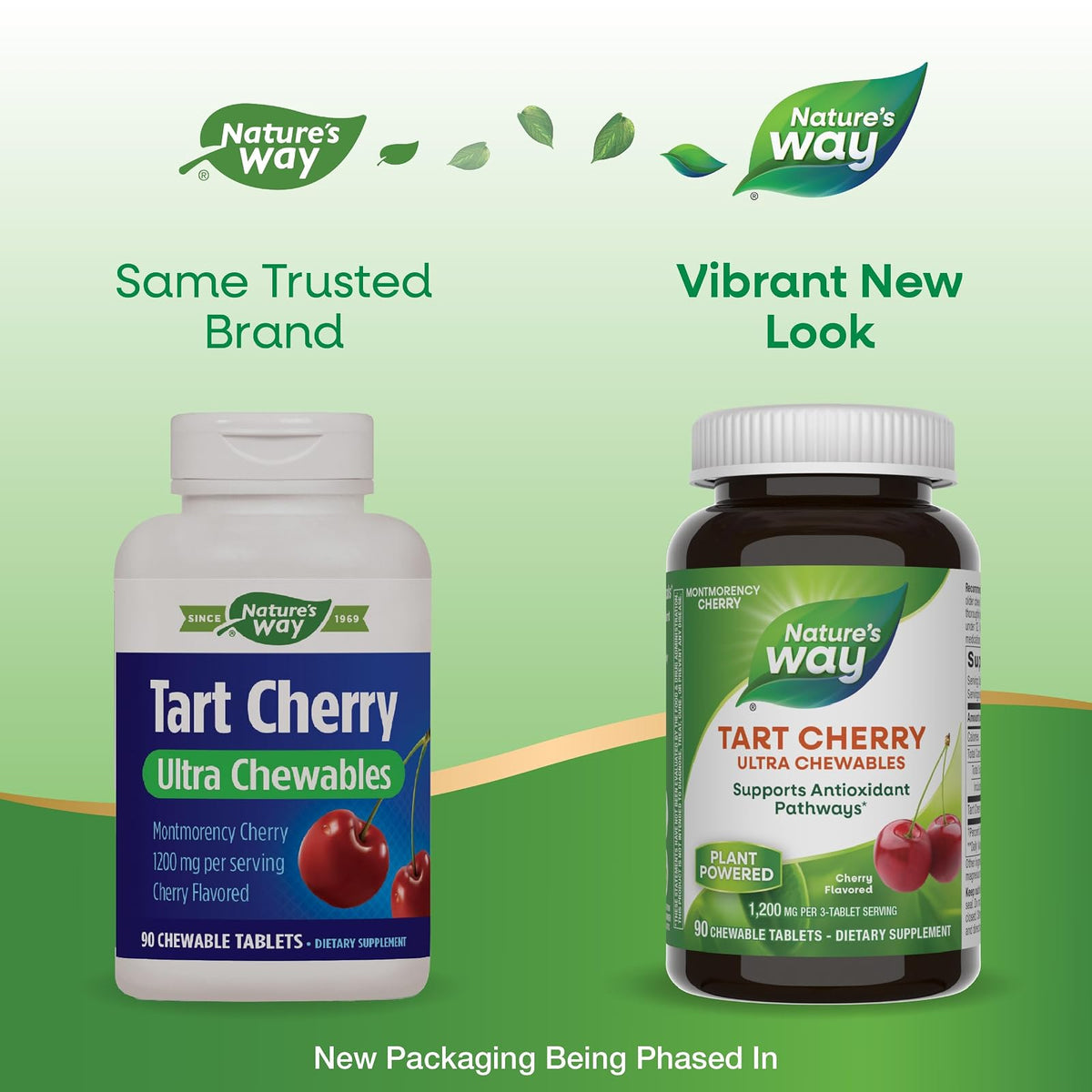 antioxidant benefits of tart cherry