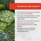 antioxidant benefits of ubiquinol