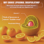 Antioxidant benefits of Vitamin C