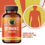 antioxidant benefits of vitamin C