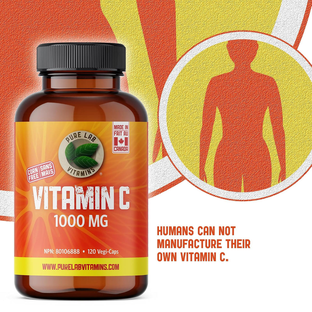 antioxidant benefits of vitamin C