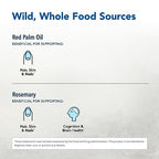 antioxidant benefits of vitamin e