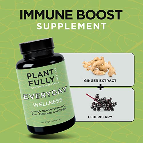 antioxidant boost with elderberry and zinc