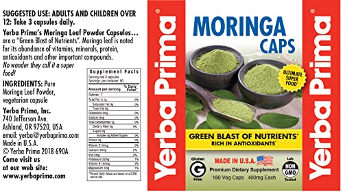 antioxidant boost with moringa supplements