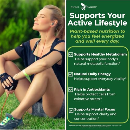 antioxidant green tea supplement