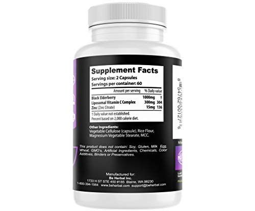 antioxidant health with elderberry