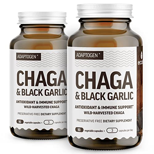 antioxidant immune support supplement