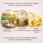 antioxidant properties of aged garlic