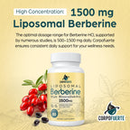Antioxidant properties of berberine