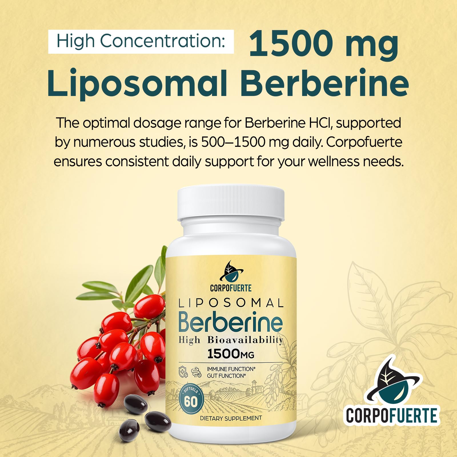 Antioxidant properties of berberine